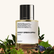 One Million by Paco Rabanne Dupe Perfume: Woody Green Apple – Dossier UK
